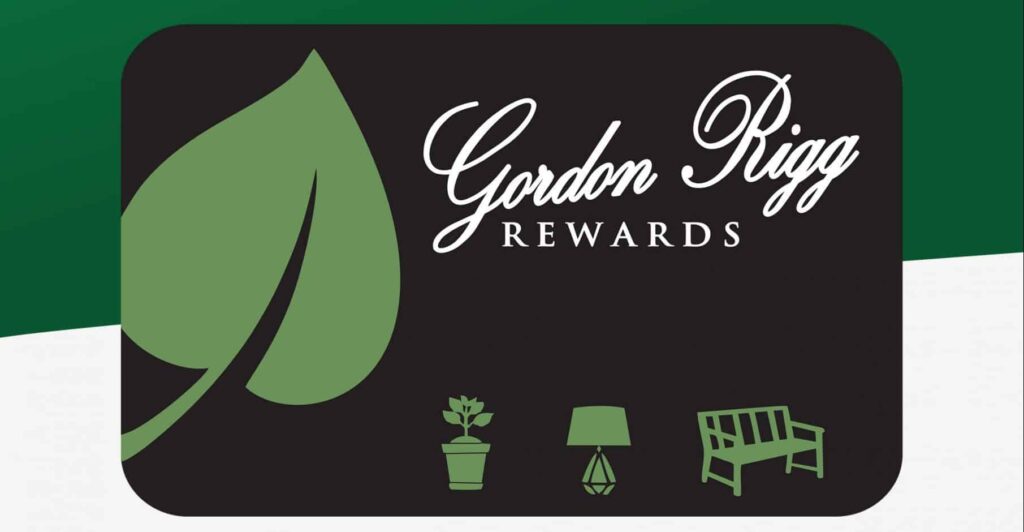 Introducing Gordon Rigg Rewards - Gordon Rigg