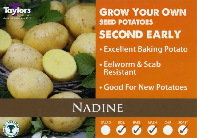 2kg Nadine Seed Potatoes - Gordon Rigg