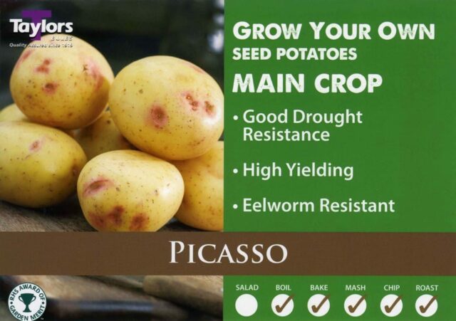 2KG Picasso Seed Potatoes - Gordon Rigg