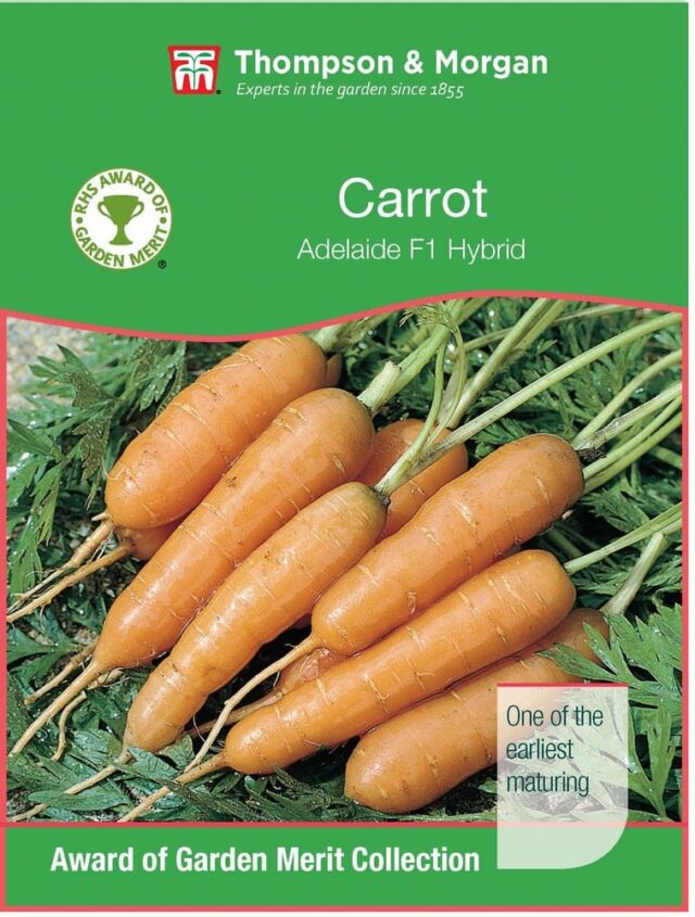 Carrot Adelaide F1 Hybrid - Gordon Rigg