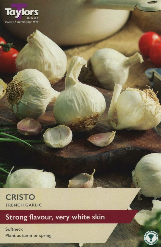2 French Garlic Cristo - Gordon Rigg