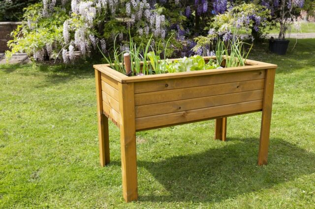 'Grow Your Own' Vegetable Planter - Gordon Rigg