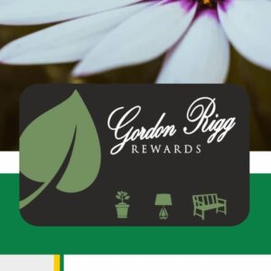Gordon Rigg Garden Centres - Huge Range of Indoor & Outdoor Products