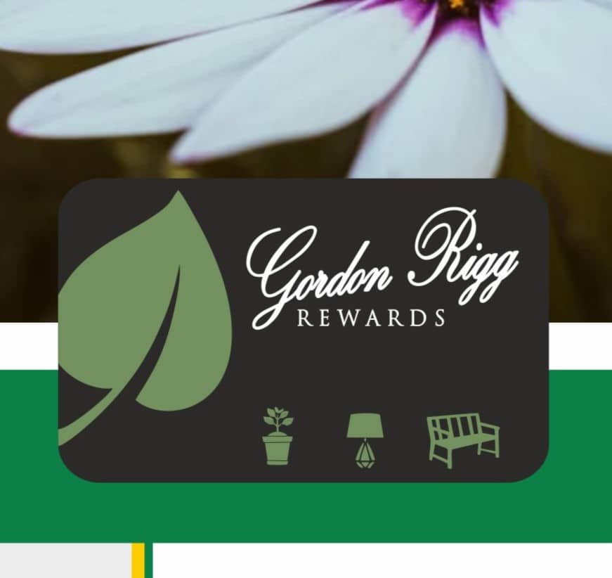 May Rewards - Gordon Rigg