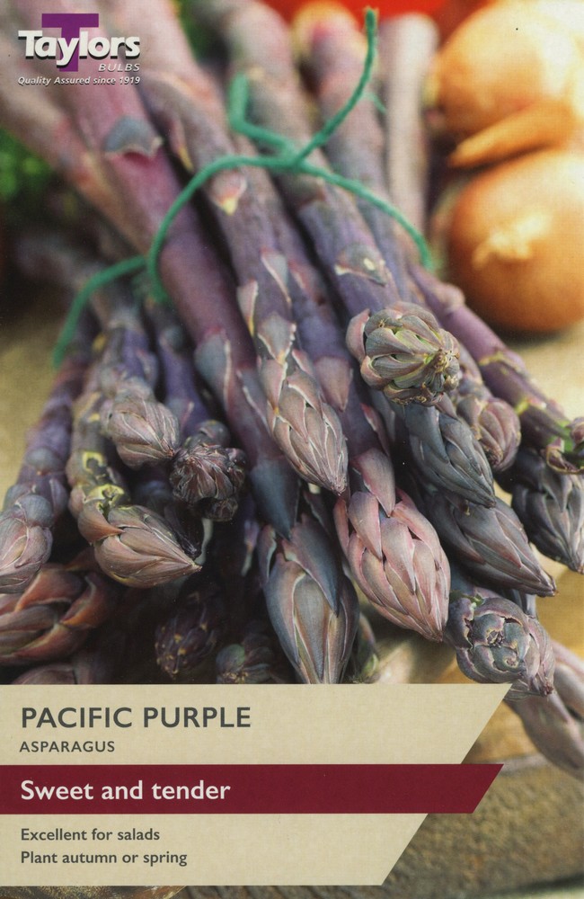 Asparagus Pacific Purple - Gordon Rigg