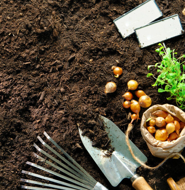 Gordon Rigg Garden Centres - Huge Range of Indoor & Outdoor Products