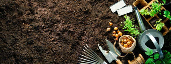 Gordon Rigg Garden Centres - Huge Range of Indoor & Outdoor Products