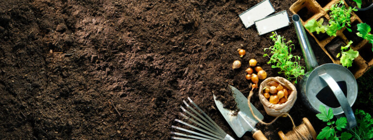 Gordon Rigg Garden Centres - Huge Range of Indoor & Outdoor Products