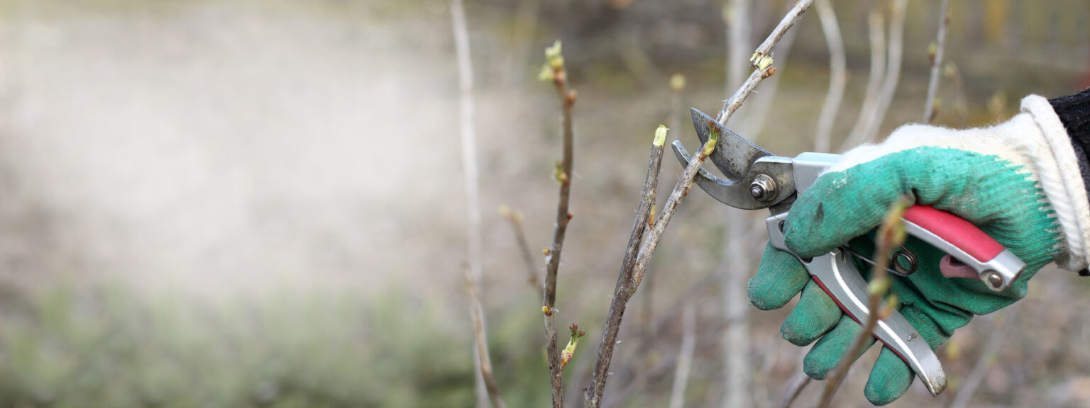 Gordon Rigg Garden Centres - Huge Range of Indoor & Outdoor Products