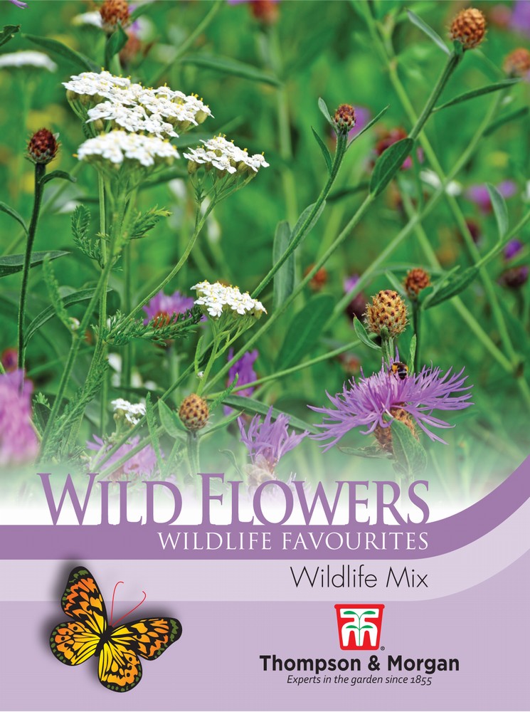 Wild Flower Wildlife Mix - Gordon Rigg