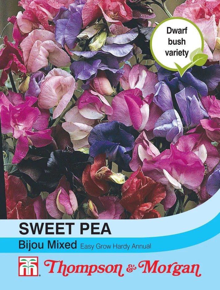 Sweet Pea Bijou Mixed - Gordon Rigg