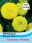 Marigold Discovery Yellow F1 Hybrid (African) - Gordon Rigg
