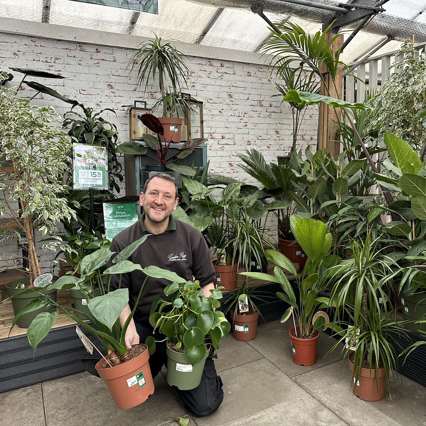 Houseplants - Gordon Rigg